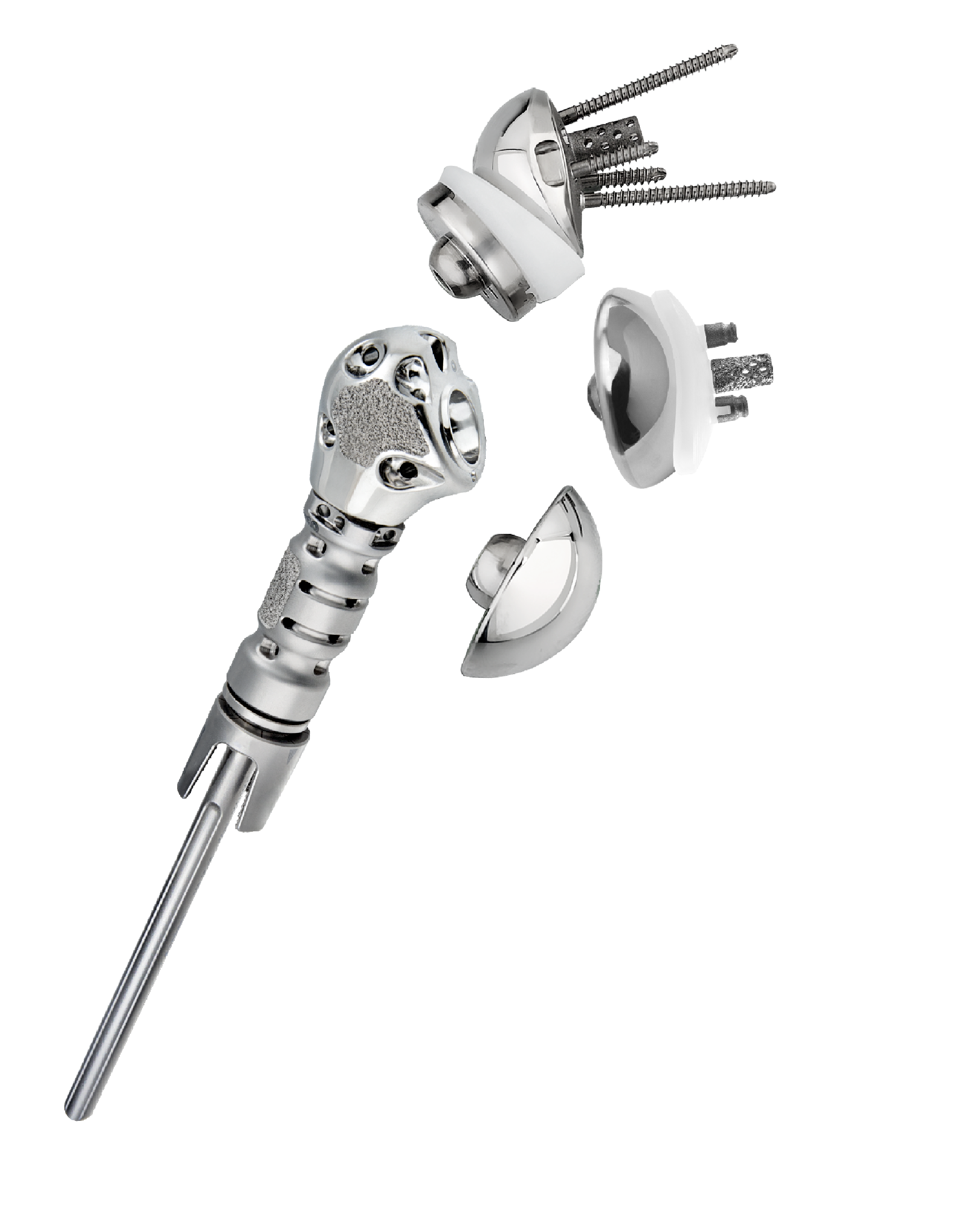 PAGE EPAULE - HRP - Exactech.fr